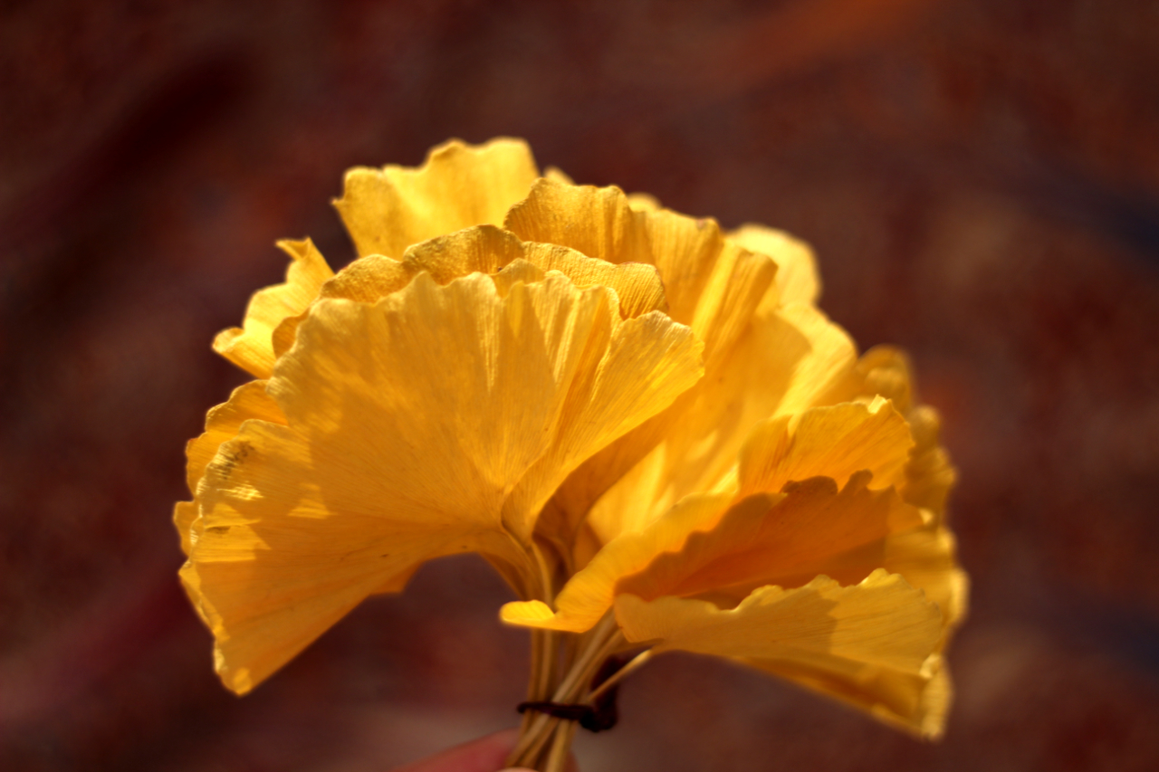 Qui suis-je ? – Anne-Marie Texier Formation – Coaching